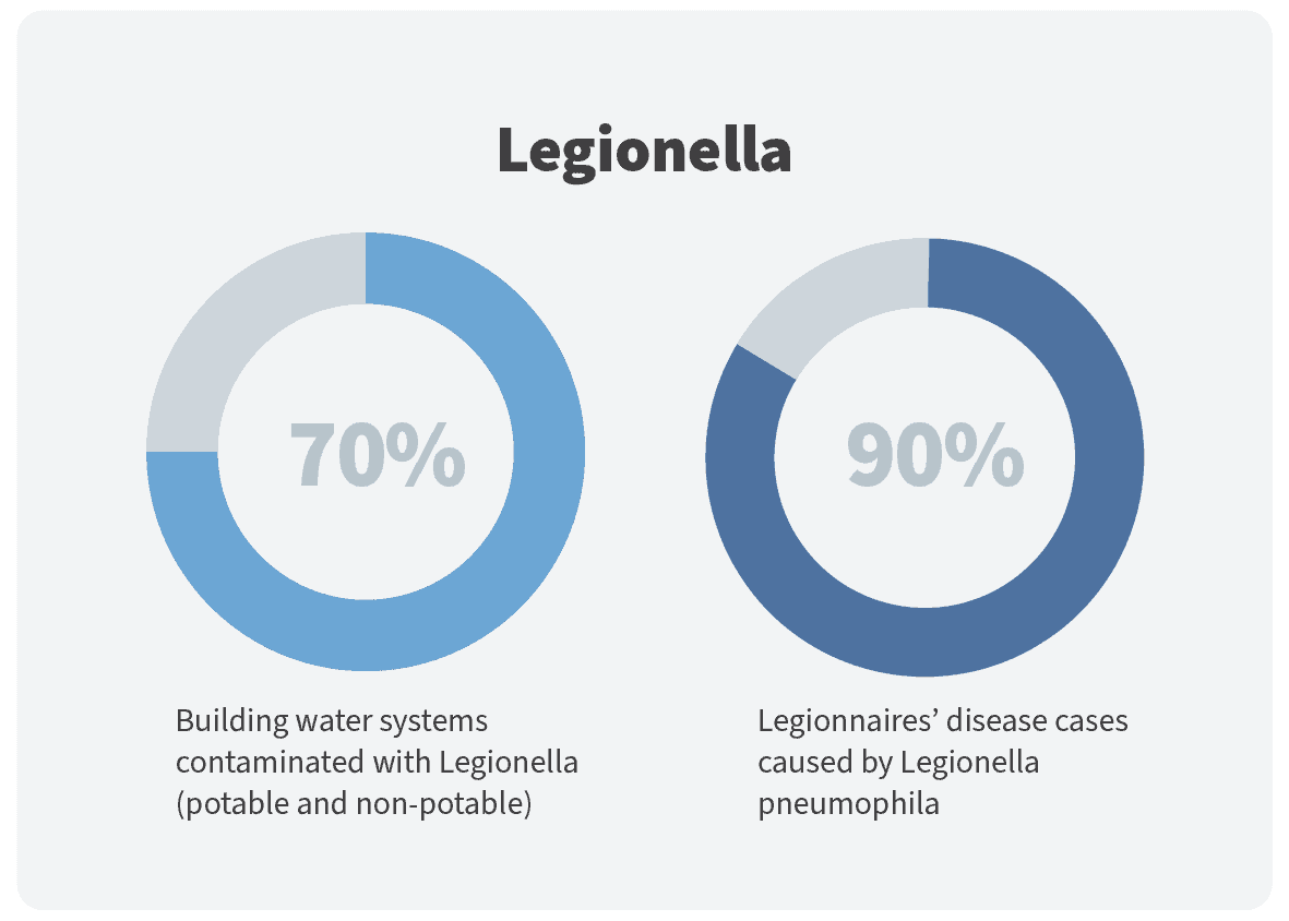 Legionella: What Is It and How to Control It - LiquiTech